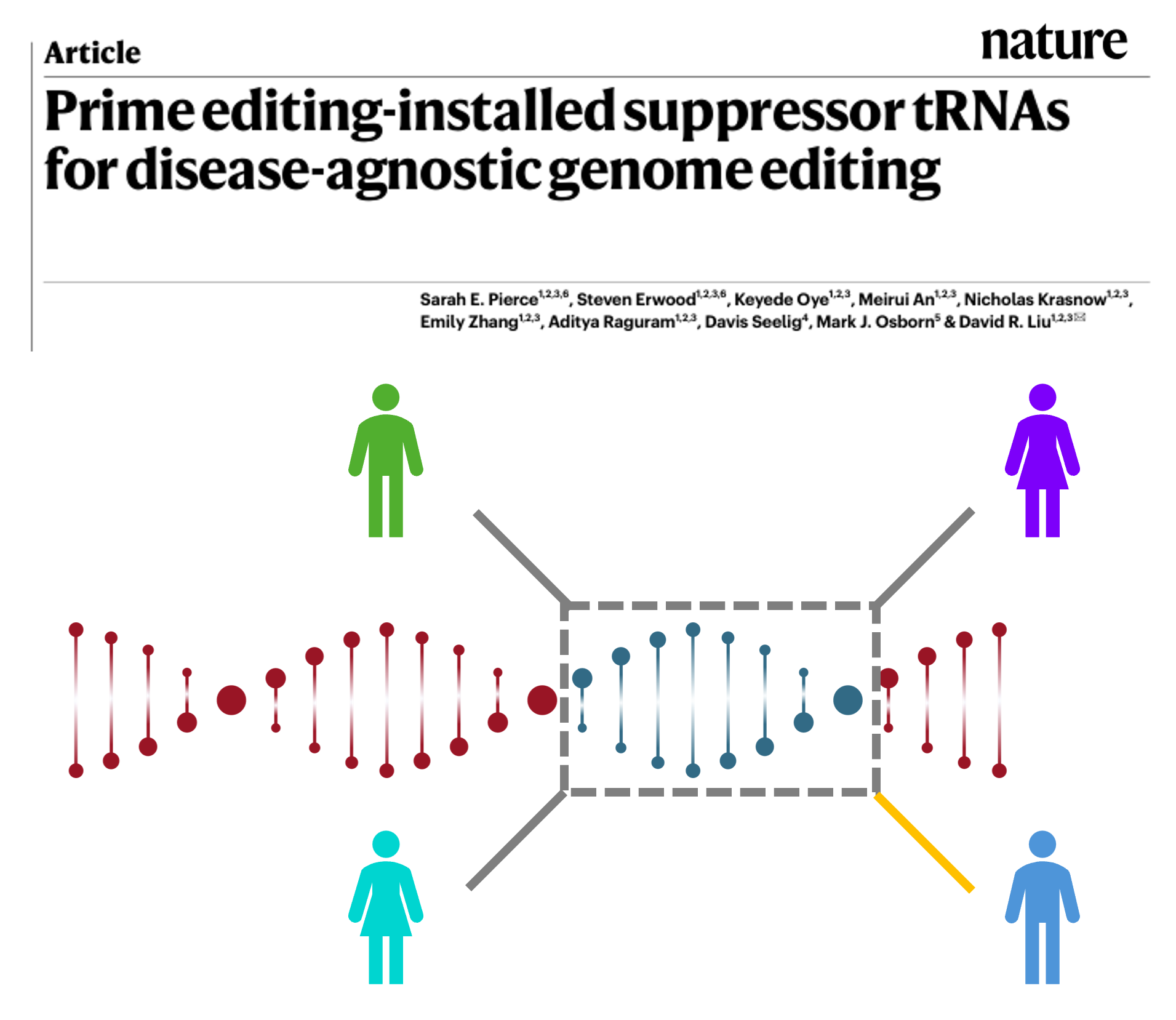 Liu lab publishes new study in Nature that gives hope to cardiomyopathy ...